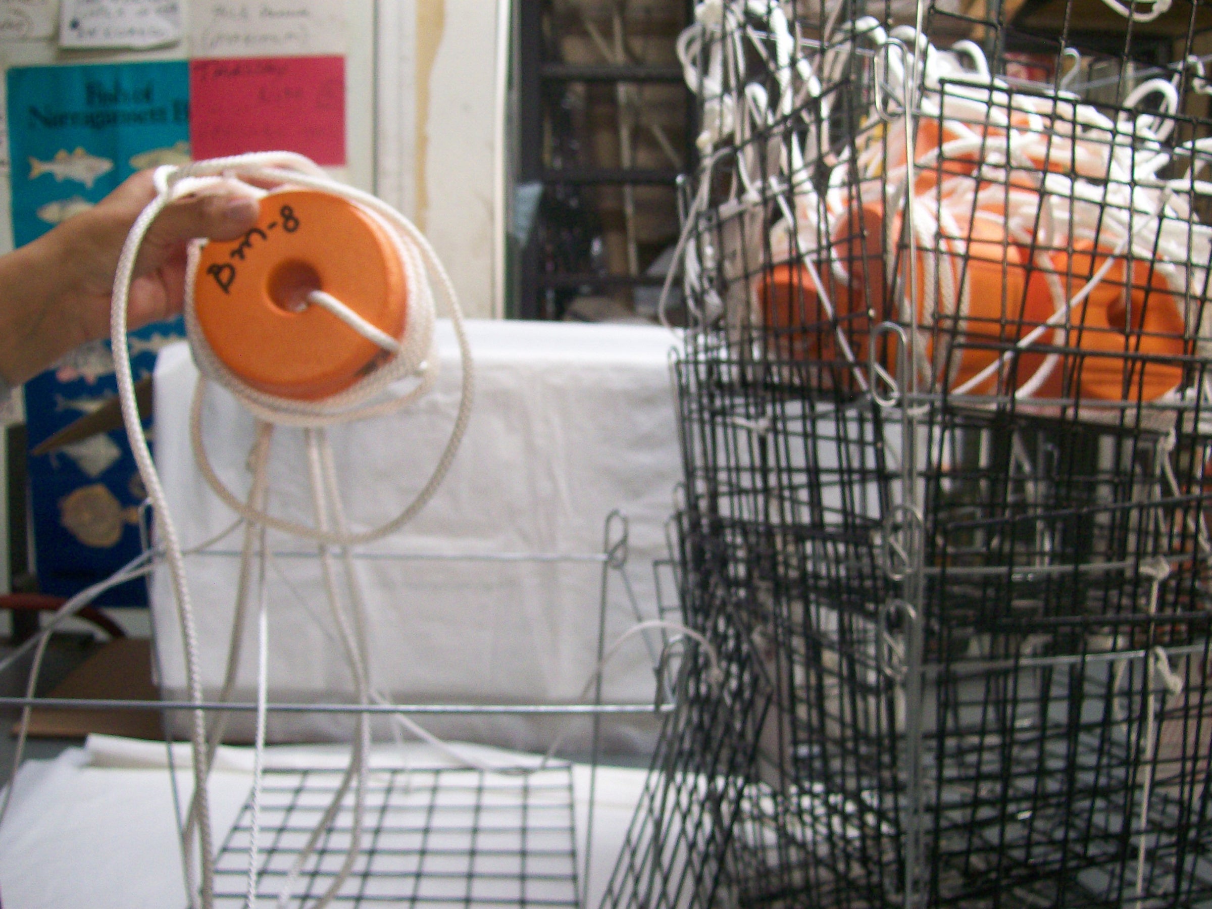 E-Z Catch Stak-A-Way Topless Crab Traps | E-Z Catch